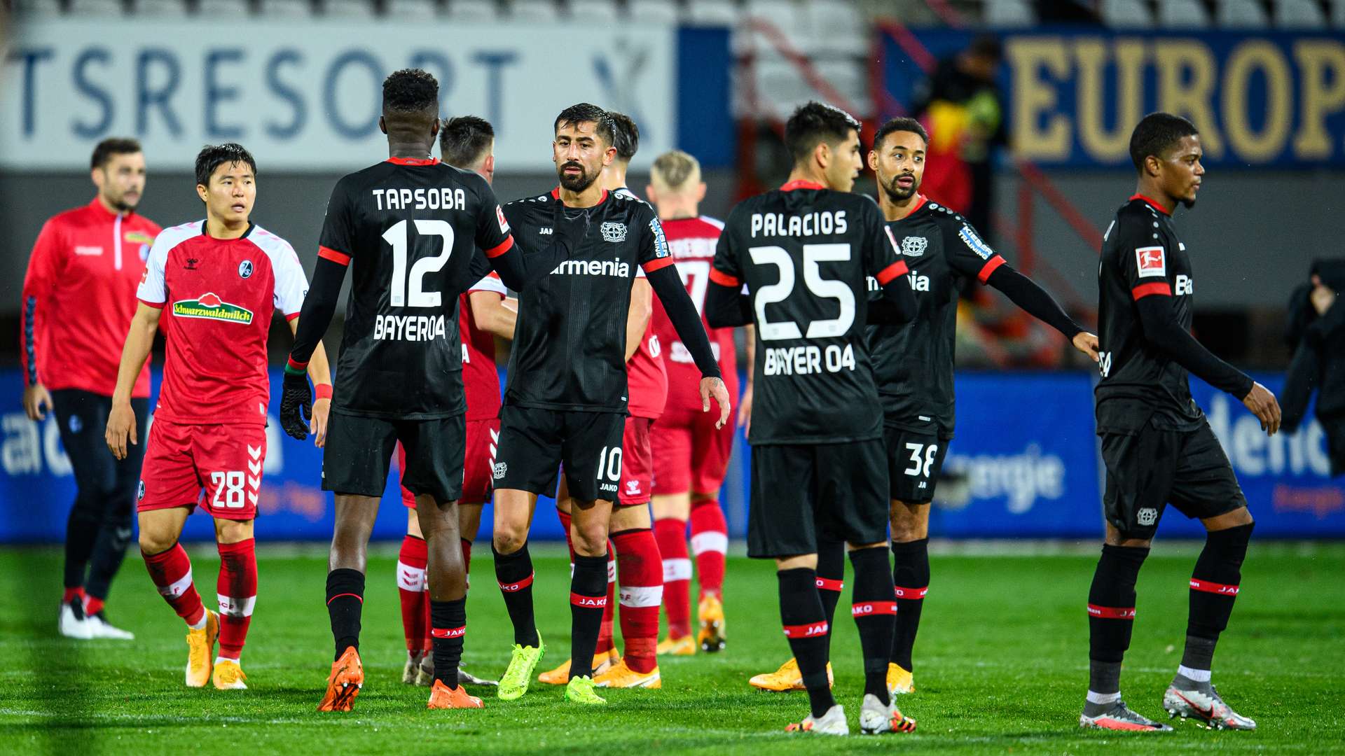 The Werkself - our team | Bayer 04 Leverkusen