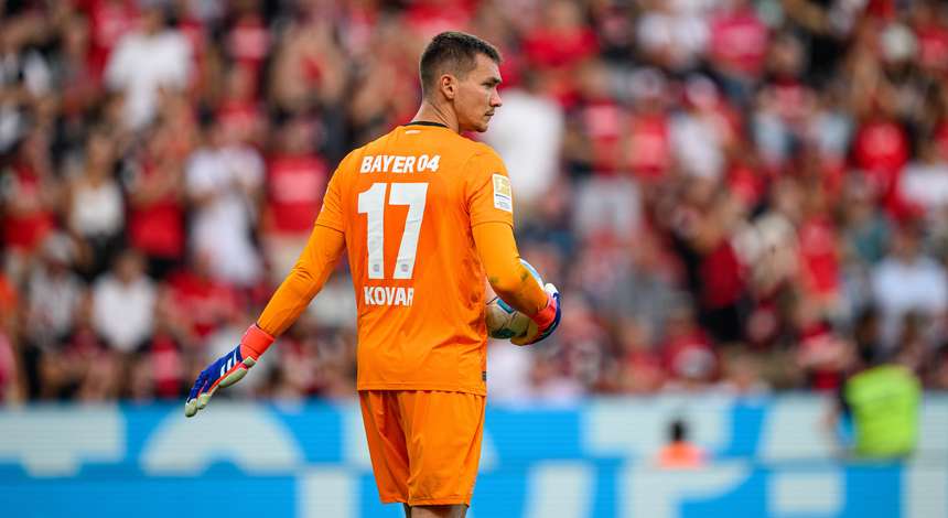 Bayer 04 Leverkusen Fußball GmbH | bayer04.de