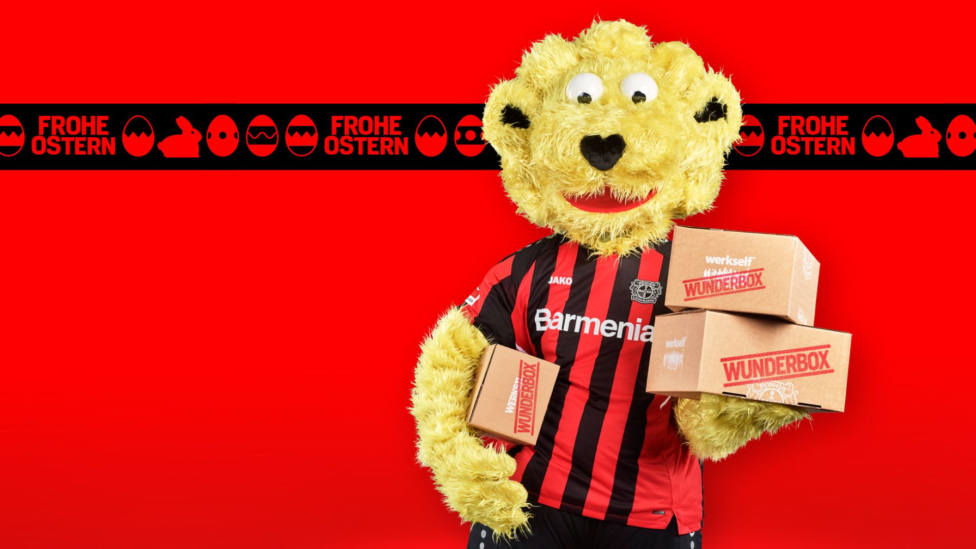 Bayer 04 Leverkusen Fanshop | Bayer 04 Leverkusen Fanshop