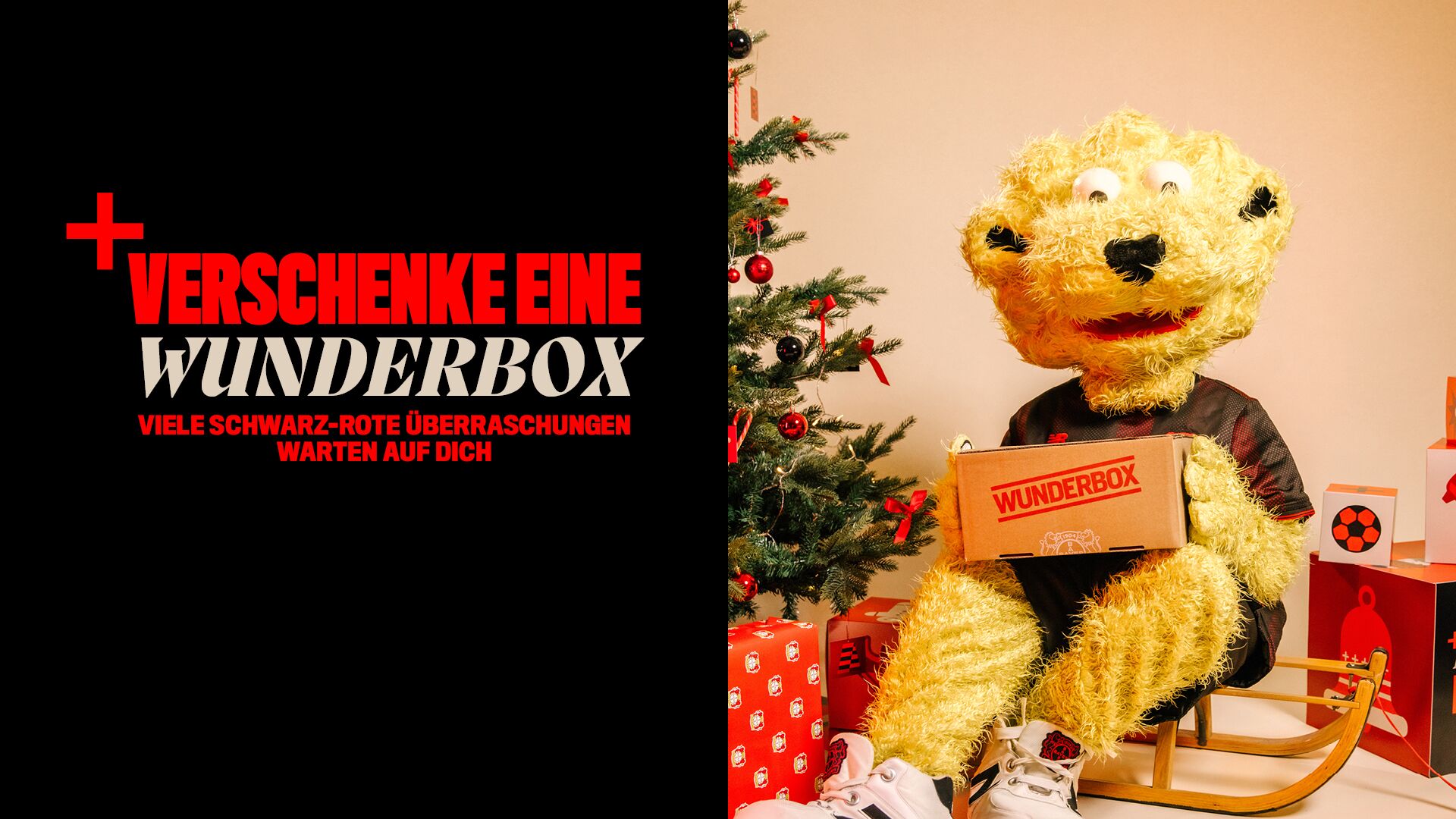 Bayer 04 Leverkusen Fanshop | Bayer 04 Leverkusen Fanshop