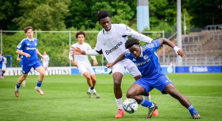 Sieg nach Elfmeterschießen bei Schalke 04: U19 zieht ins DM-Halbfinale ...